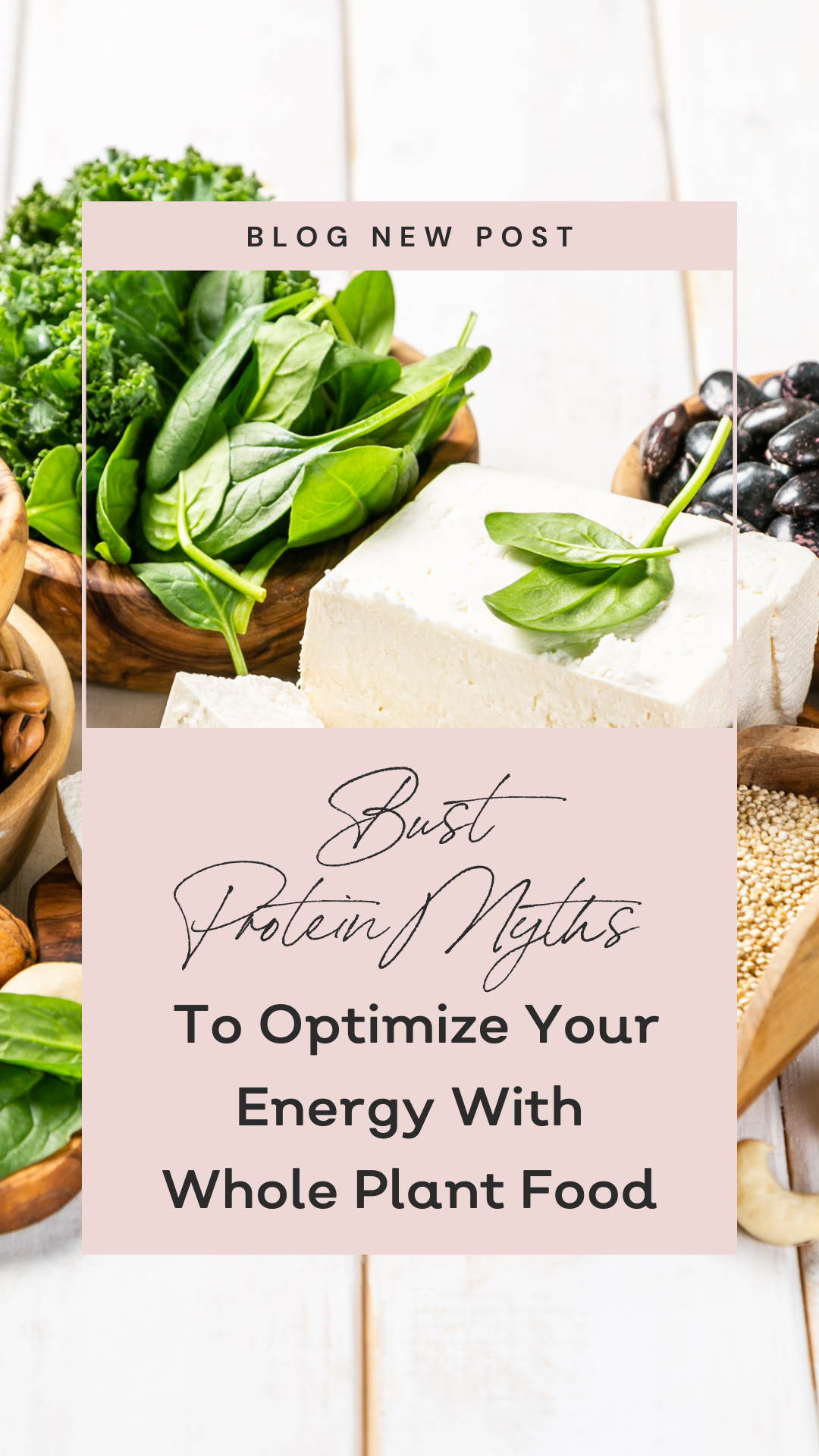 Unleashing the Power of Plant Based Protein – Power On Plants